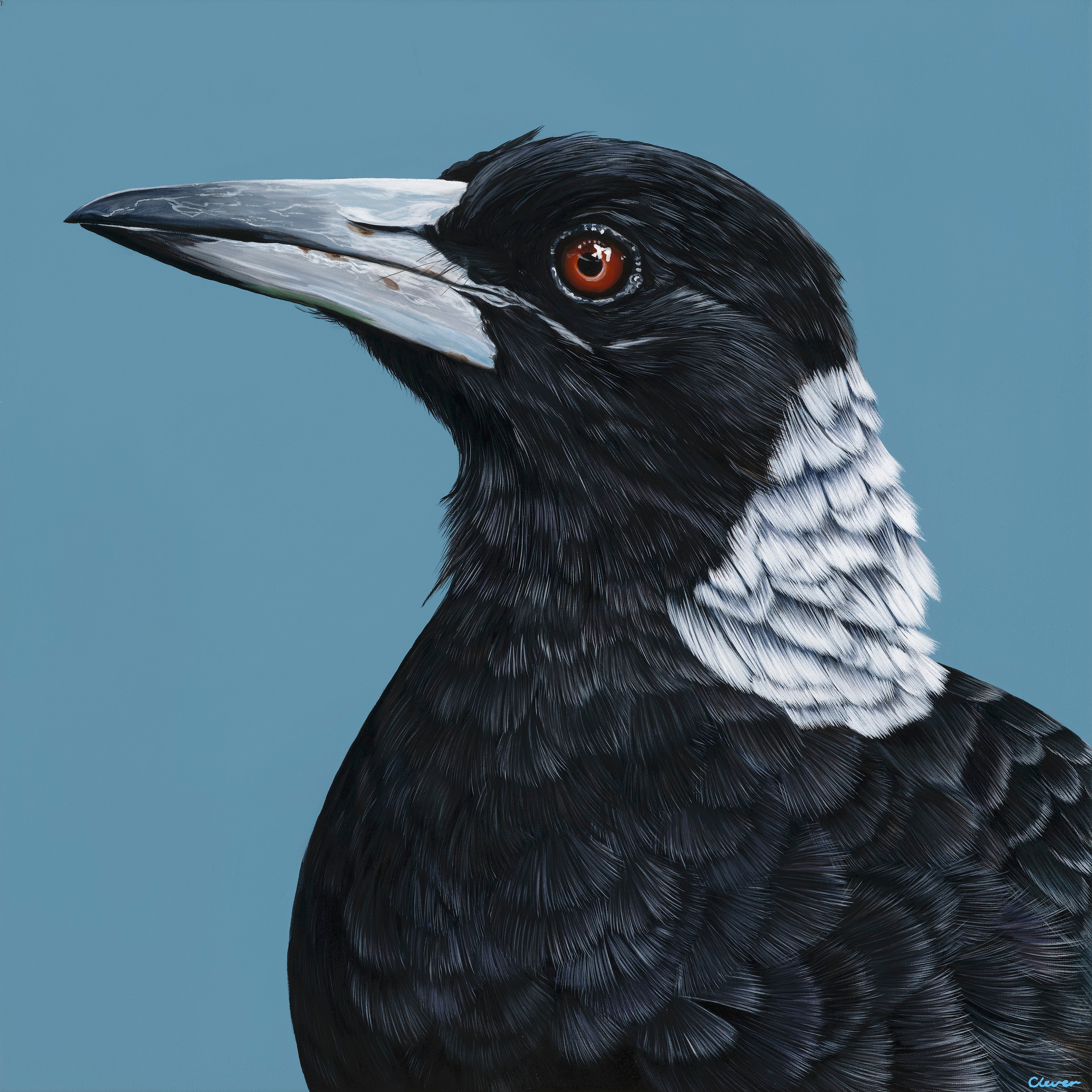 Print - Maverick – Paintings By Caitlin
