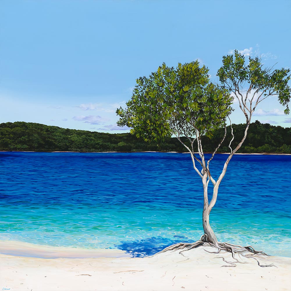 Print - Lake McKenzie – Paintings By Caitlin