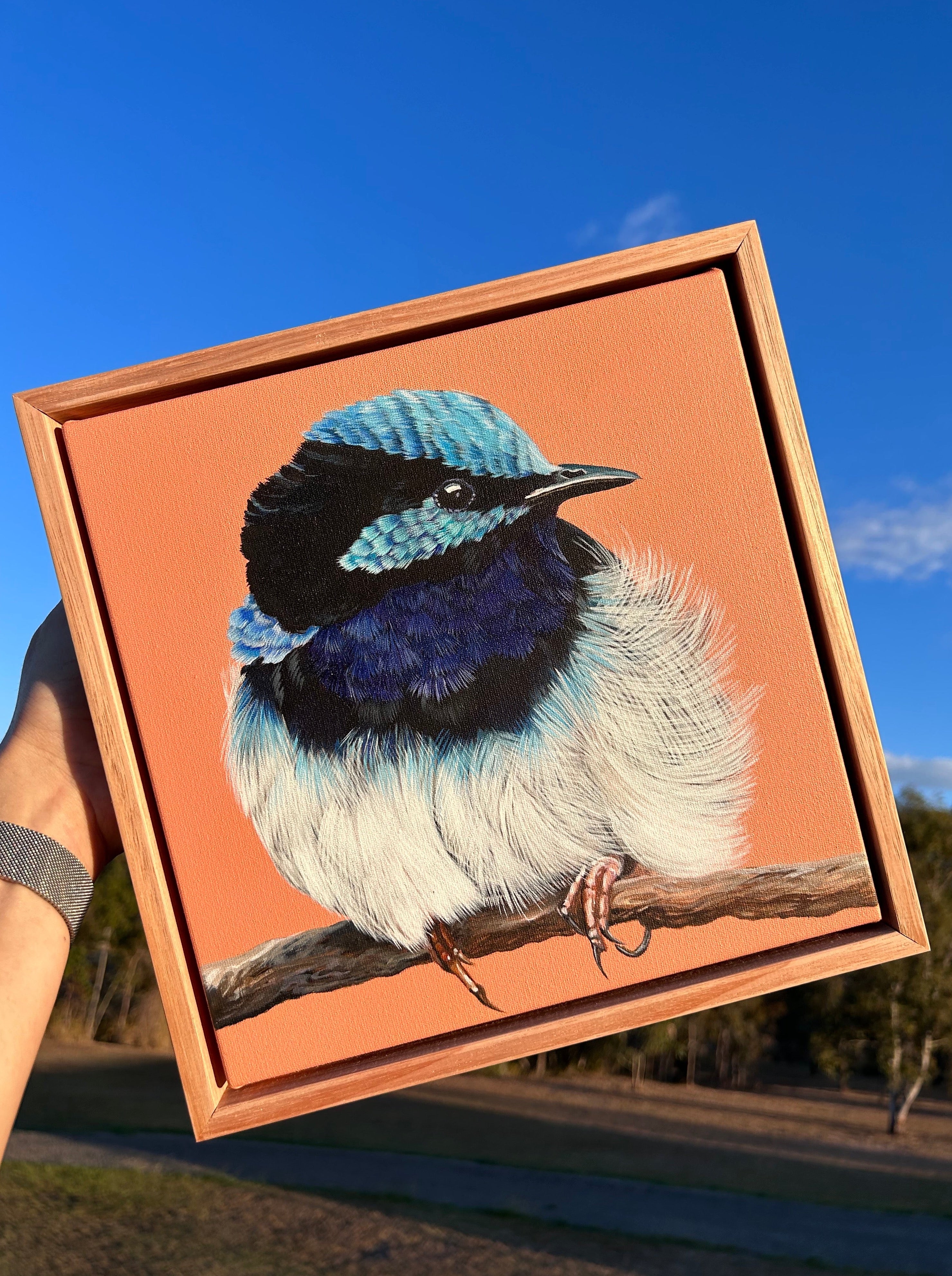 Superb Fairy Wren Mini – Paintings By Caitlin