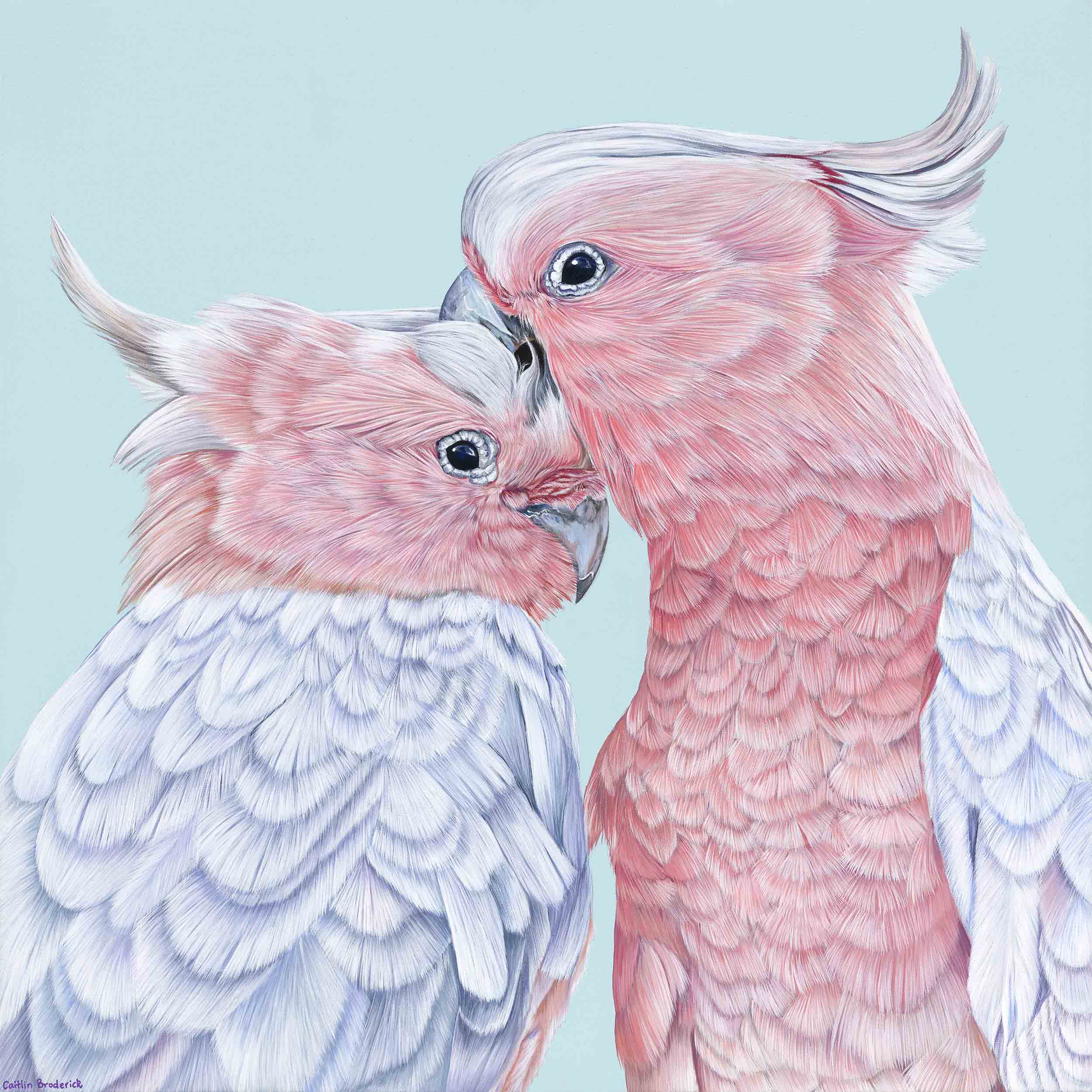 Paintings By Caitlin