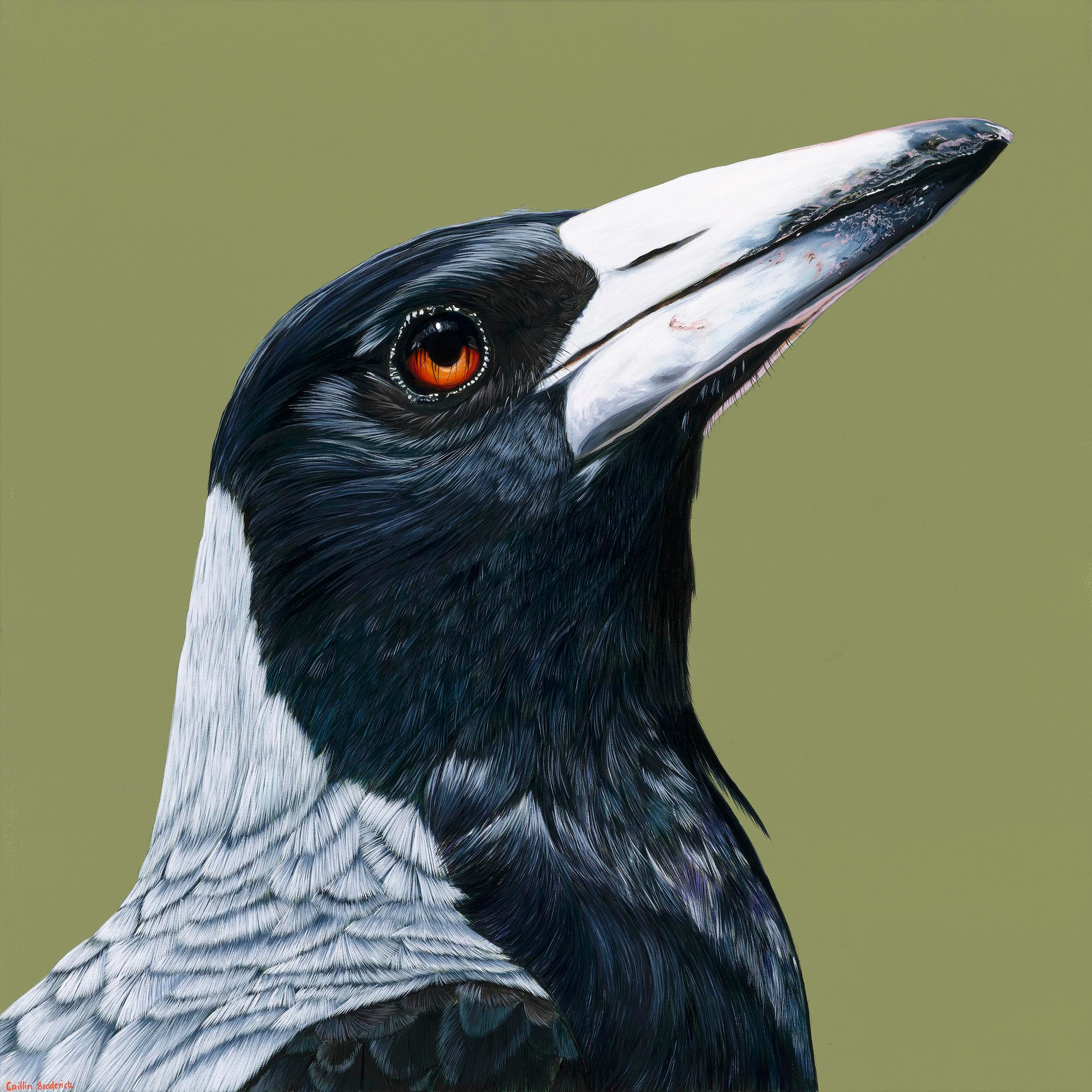 Original Canvas - Bird – Paintings By Caitlin