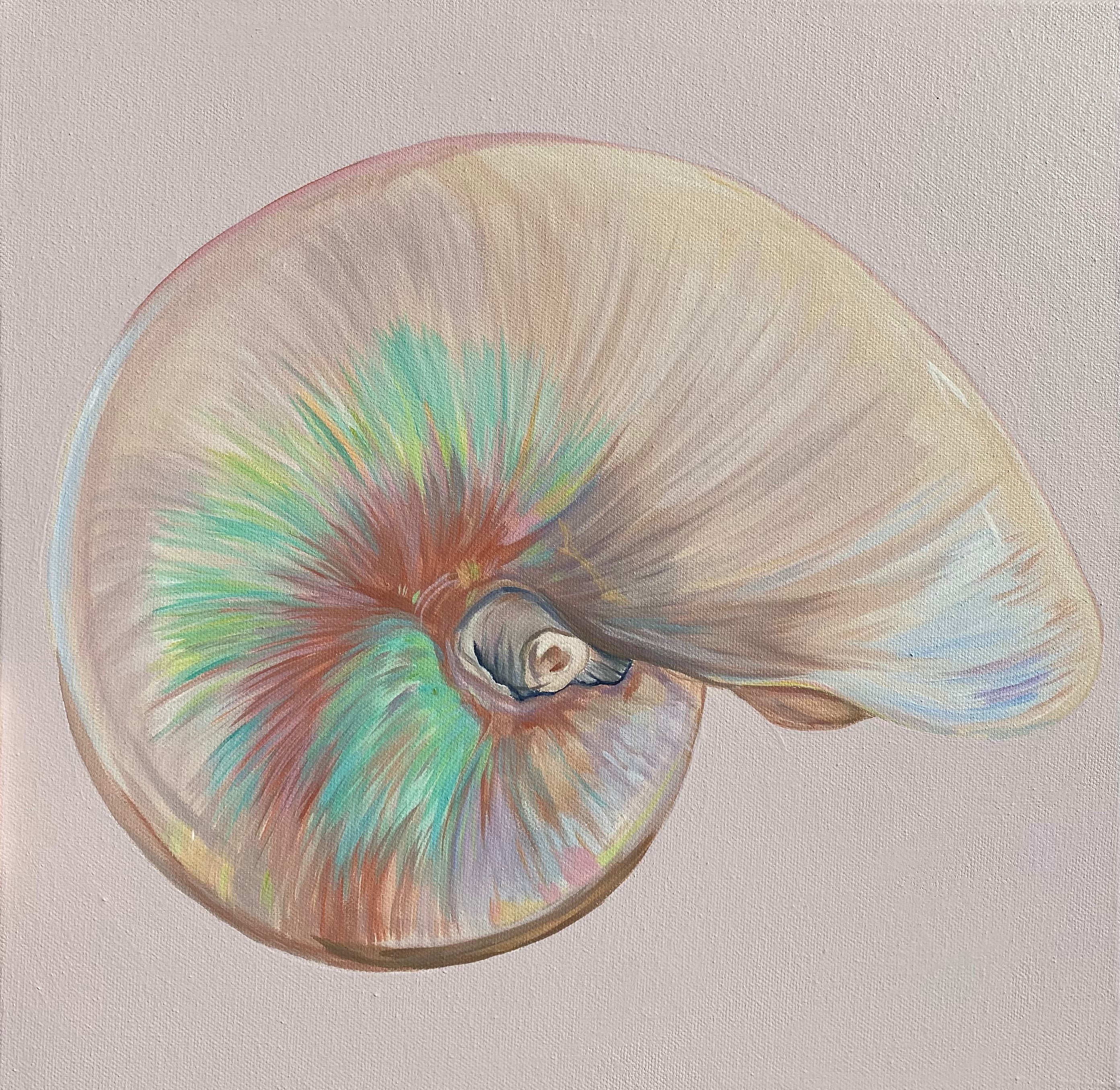 Original Canvas | Nautilus Shell – Paintings By Caitlin