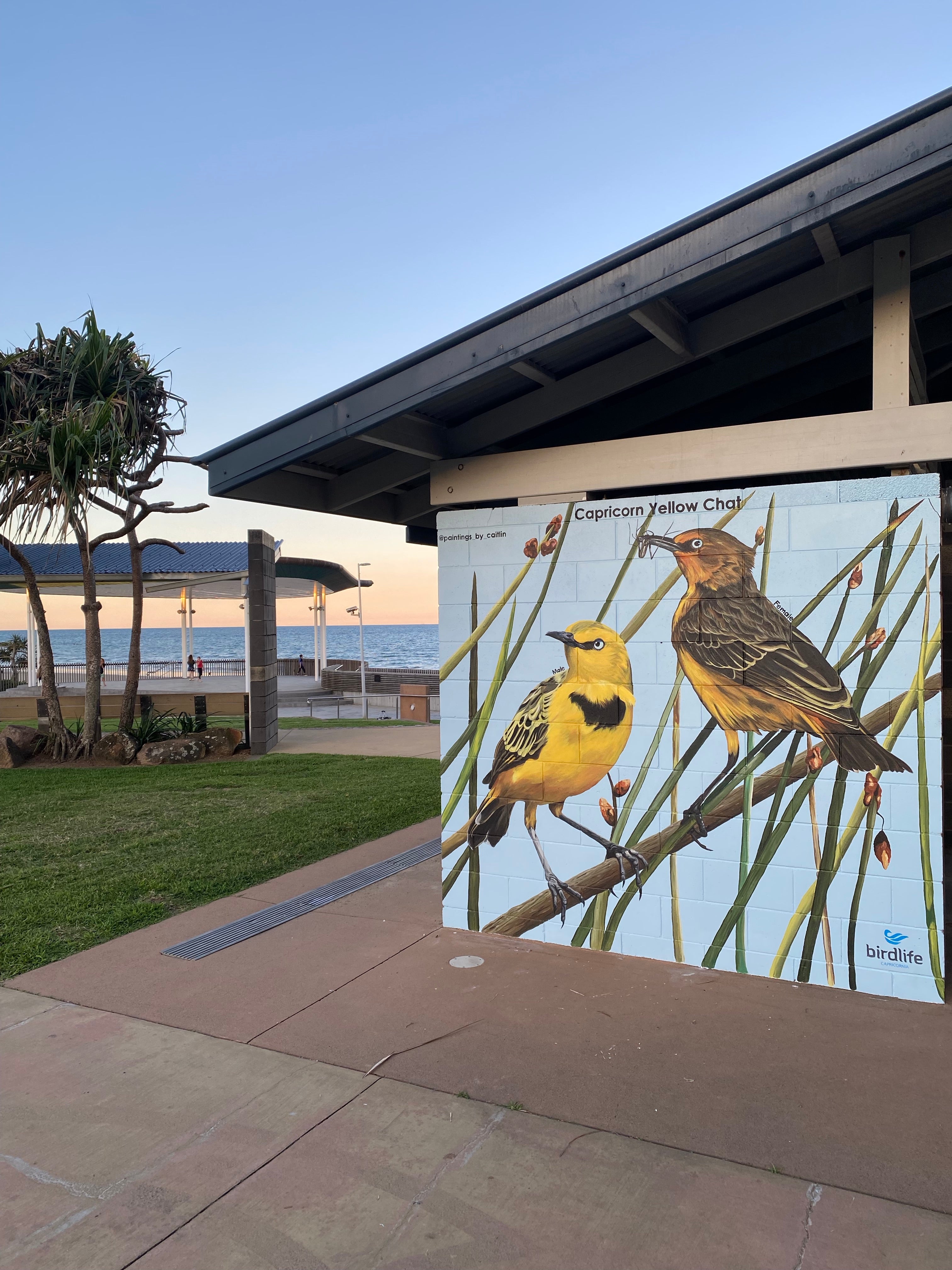 Yeppoon Foreshore – Paintings By Caitlin