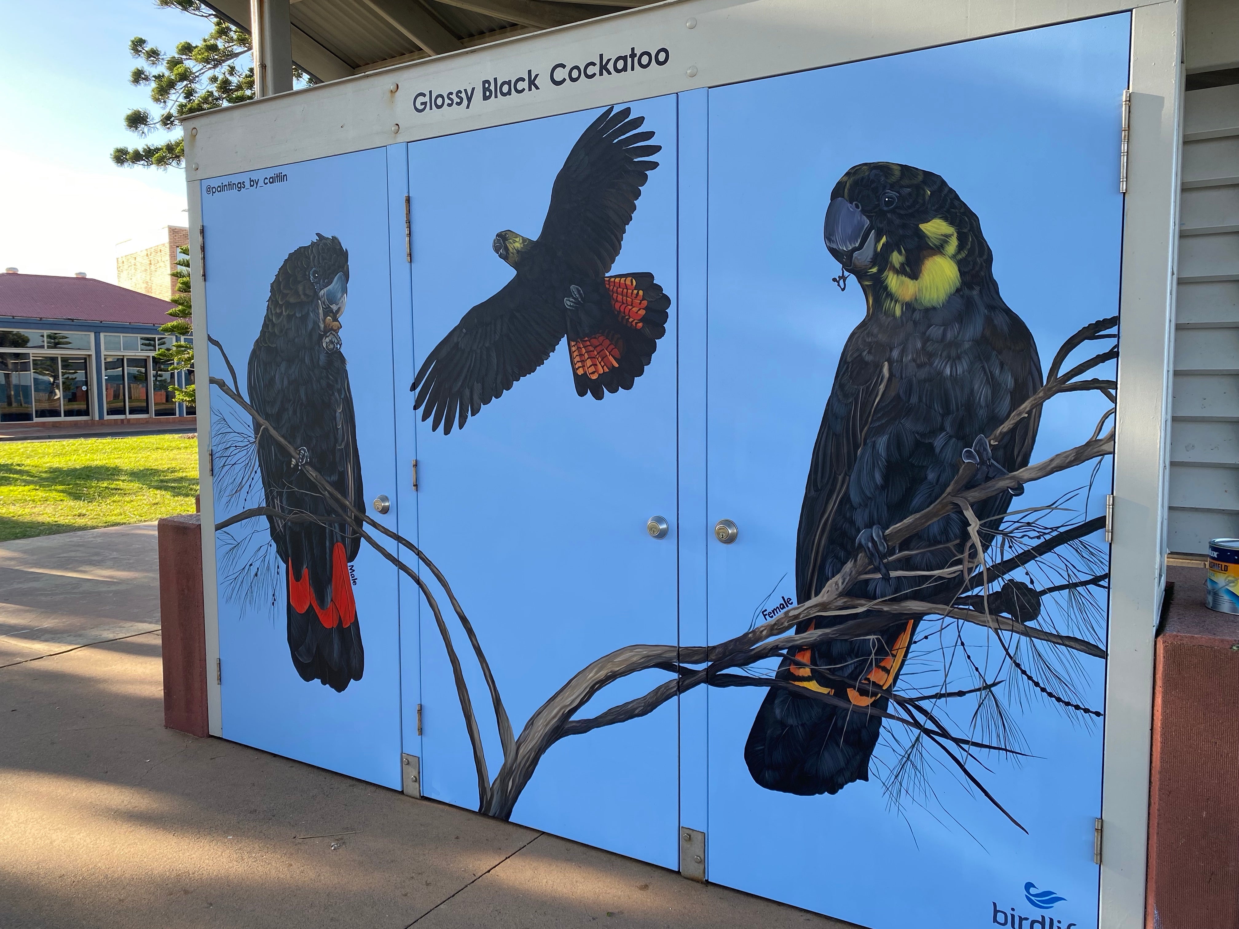 Yeppoon Foreshore – Paintings By Caitlin