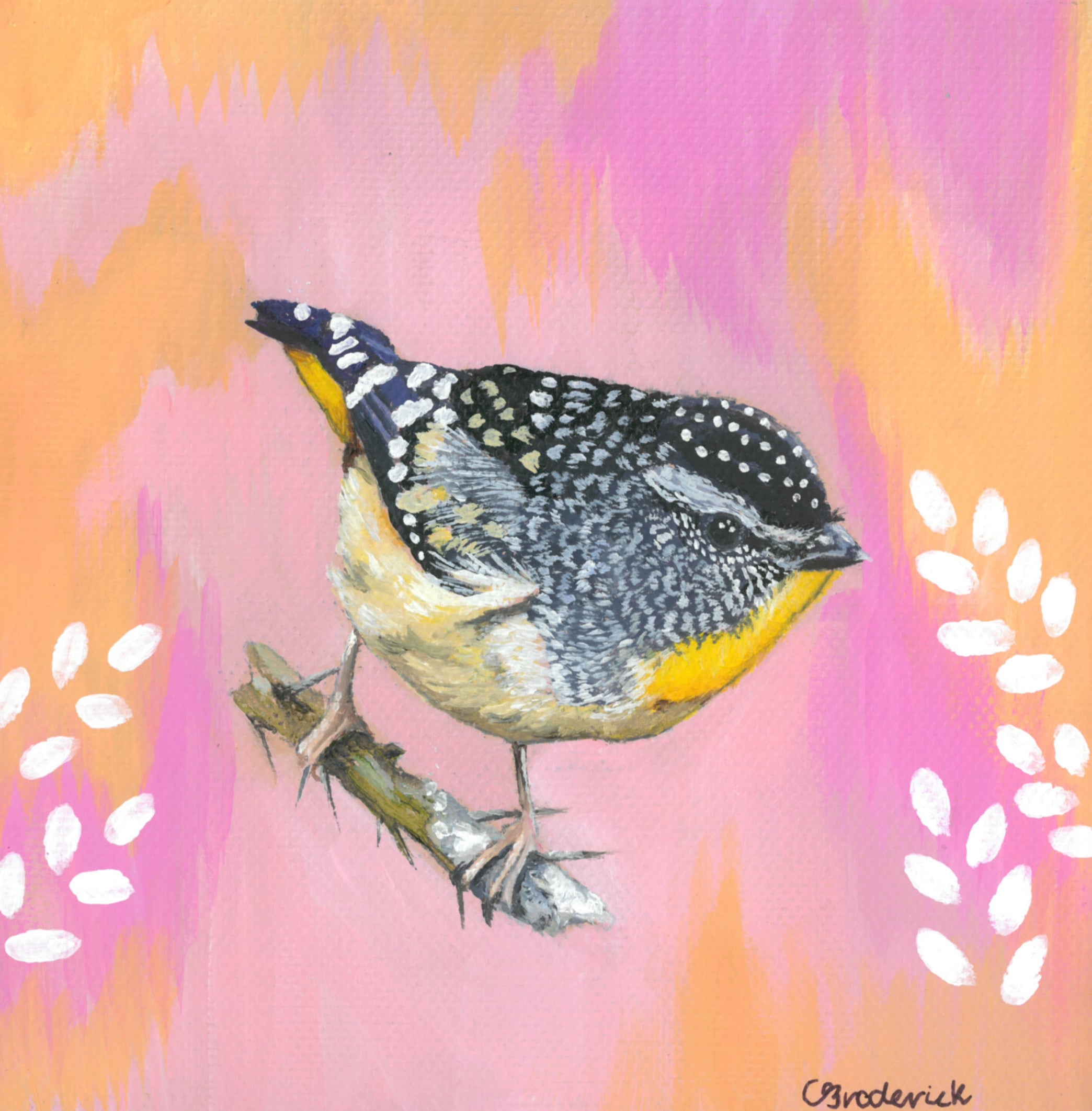 Original Canvas | Little Spotted Paradote – Paintings By Caitlin